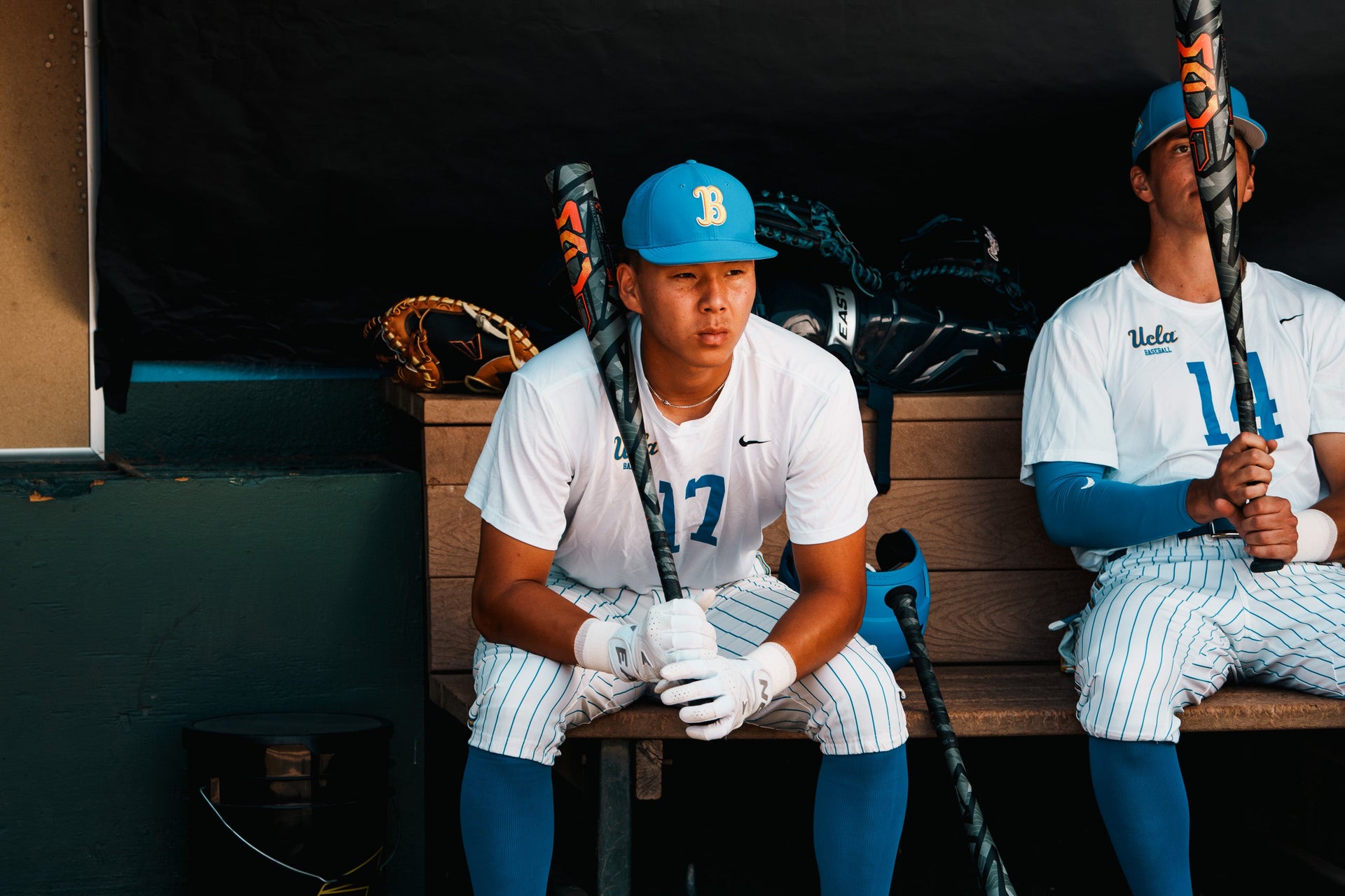 Bats – The Dugout