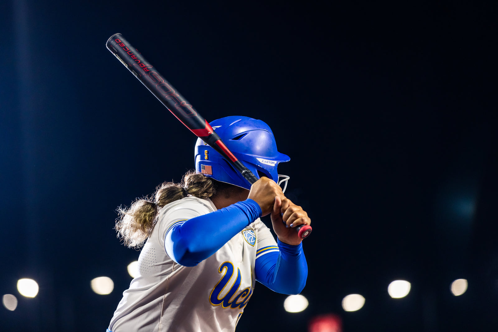 Bats – The Dugout